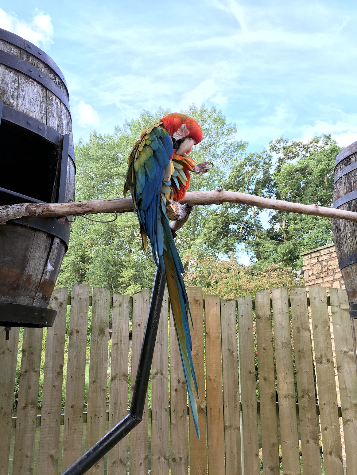 Summertime Fun at Birdland – Cotswolds Concierge