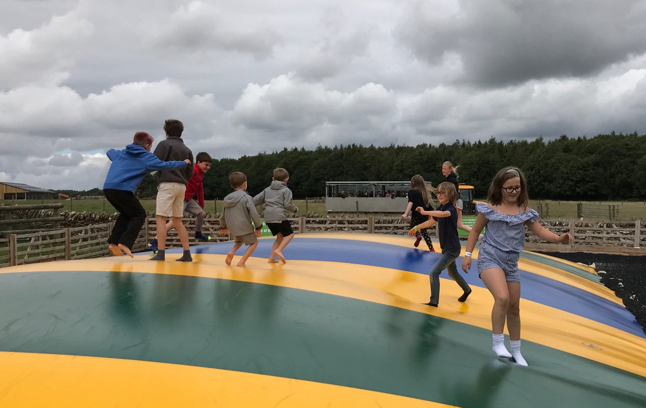 Farm Park Fun in the Cotswolds - Cotswolds Concierge