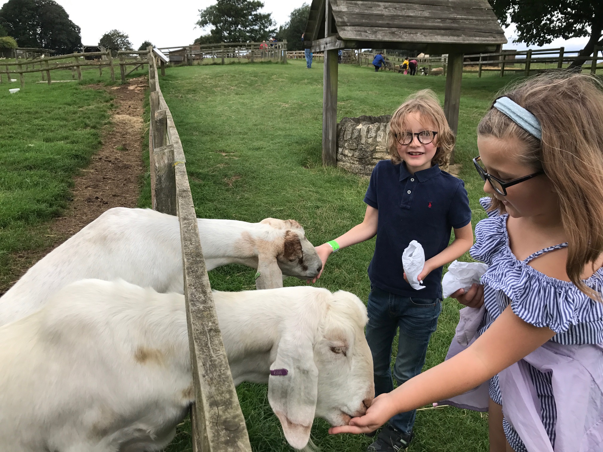 Farm Park Fun in the Cotswolds - Cotswolds Concierge