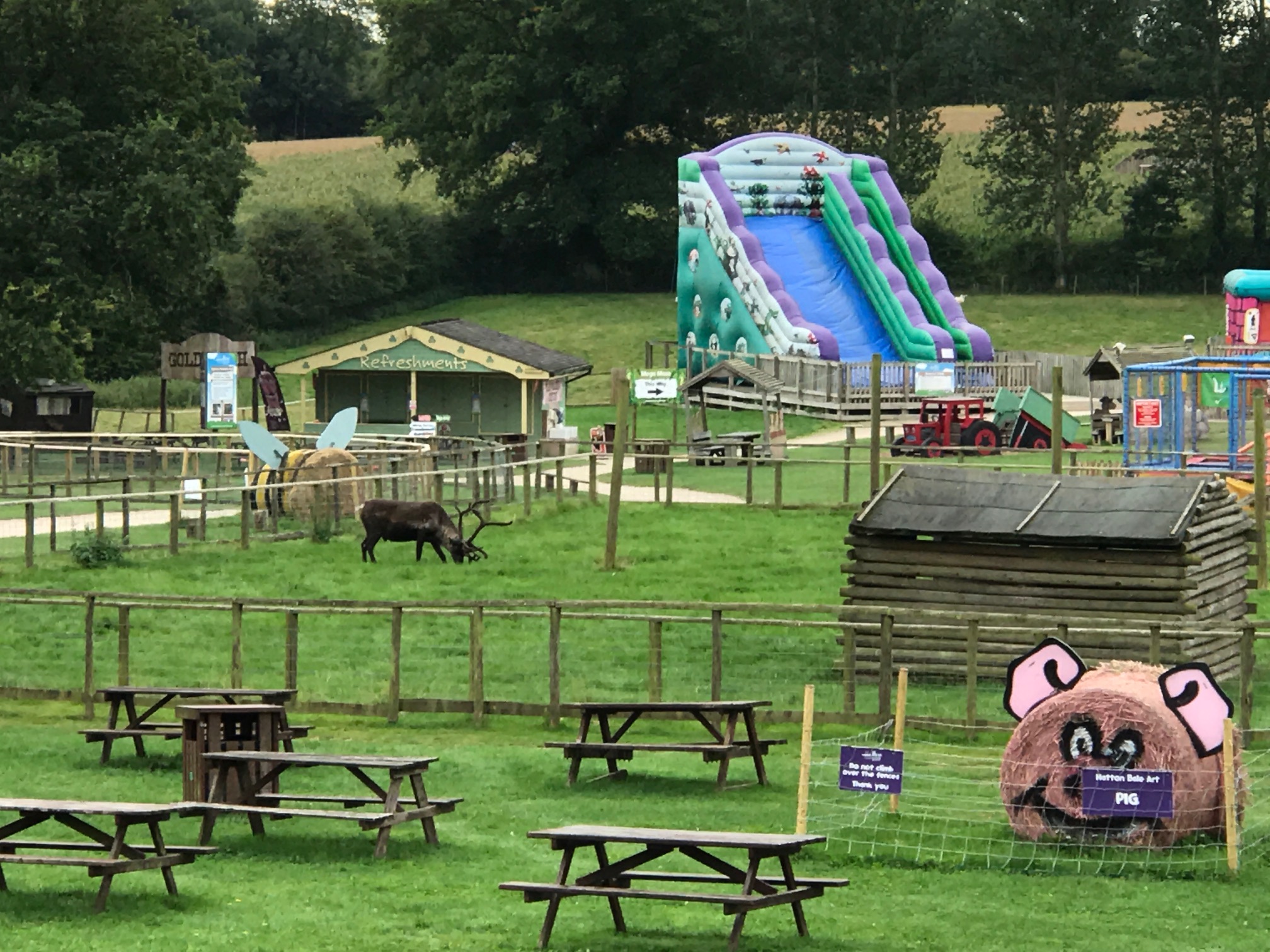 Are Dogs Allowed At Hatton Country World