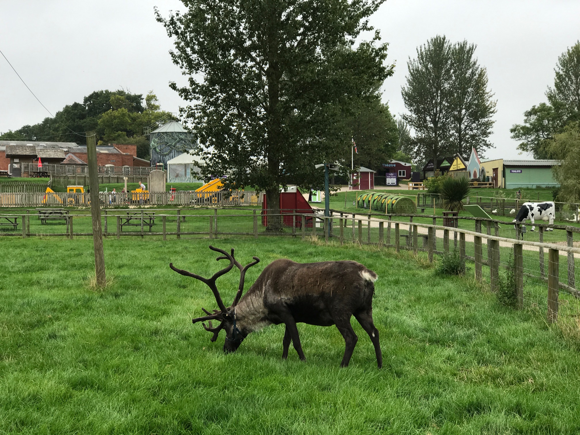 Fun inside and out at Hatton Country World - Cotswolds Concierge