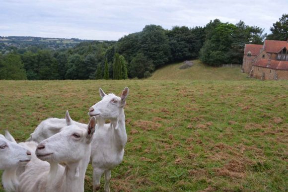 Heath Farm Holiday Cottages – Cotswolds Concierge