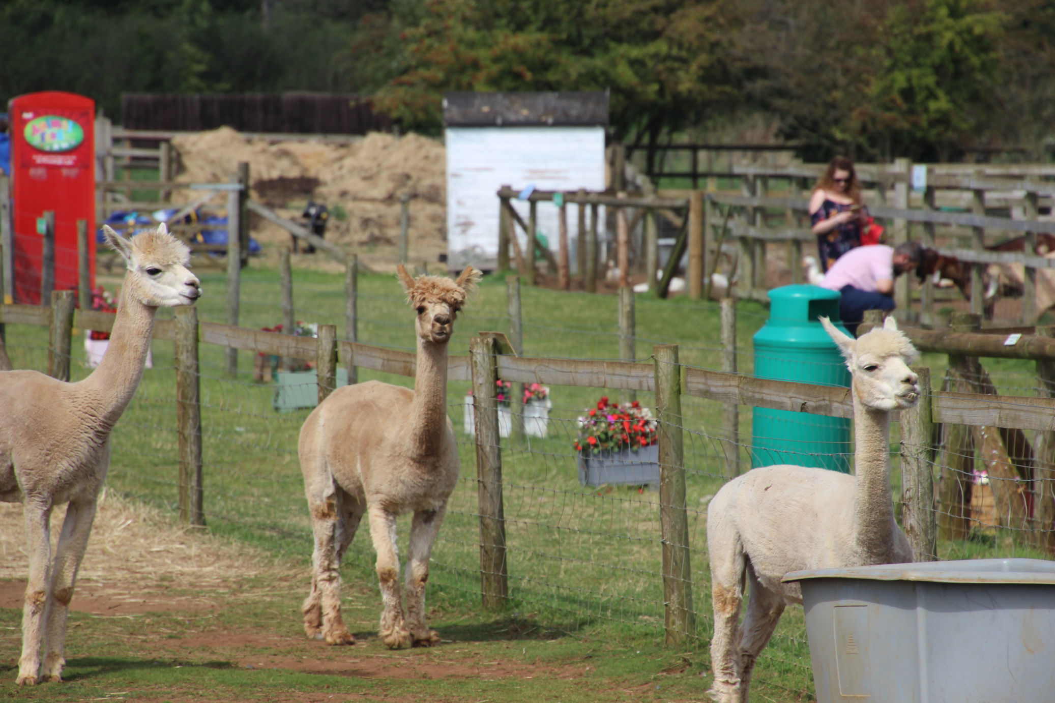 Fairytale Farm – Cotswolds Concierge