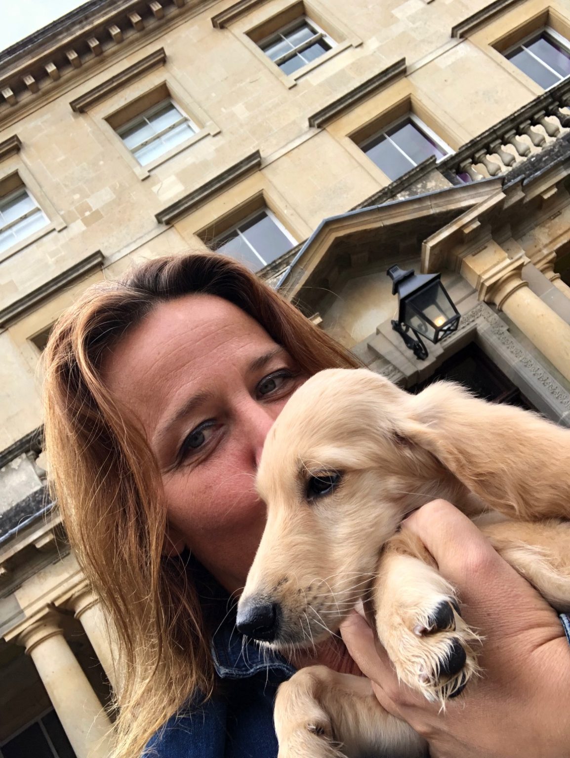 Places to stay with dogs in the Cotswolds – Cotswolds Concierge