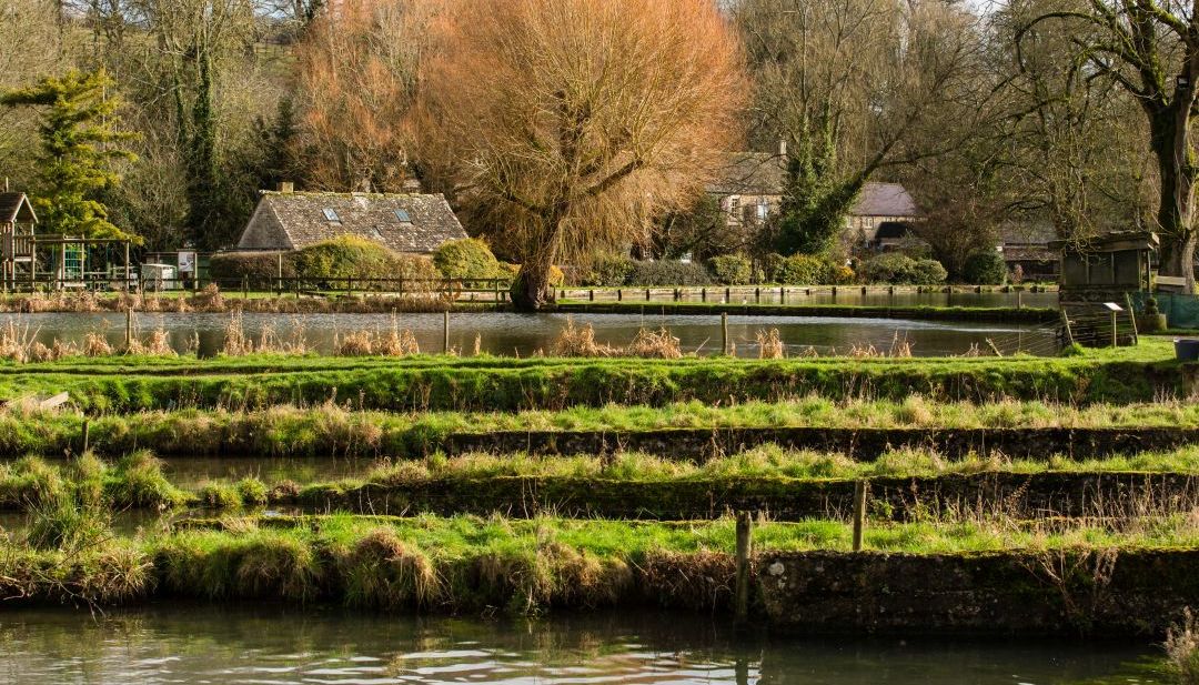 Bibury Trout Farm – Cotswolds Concierge