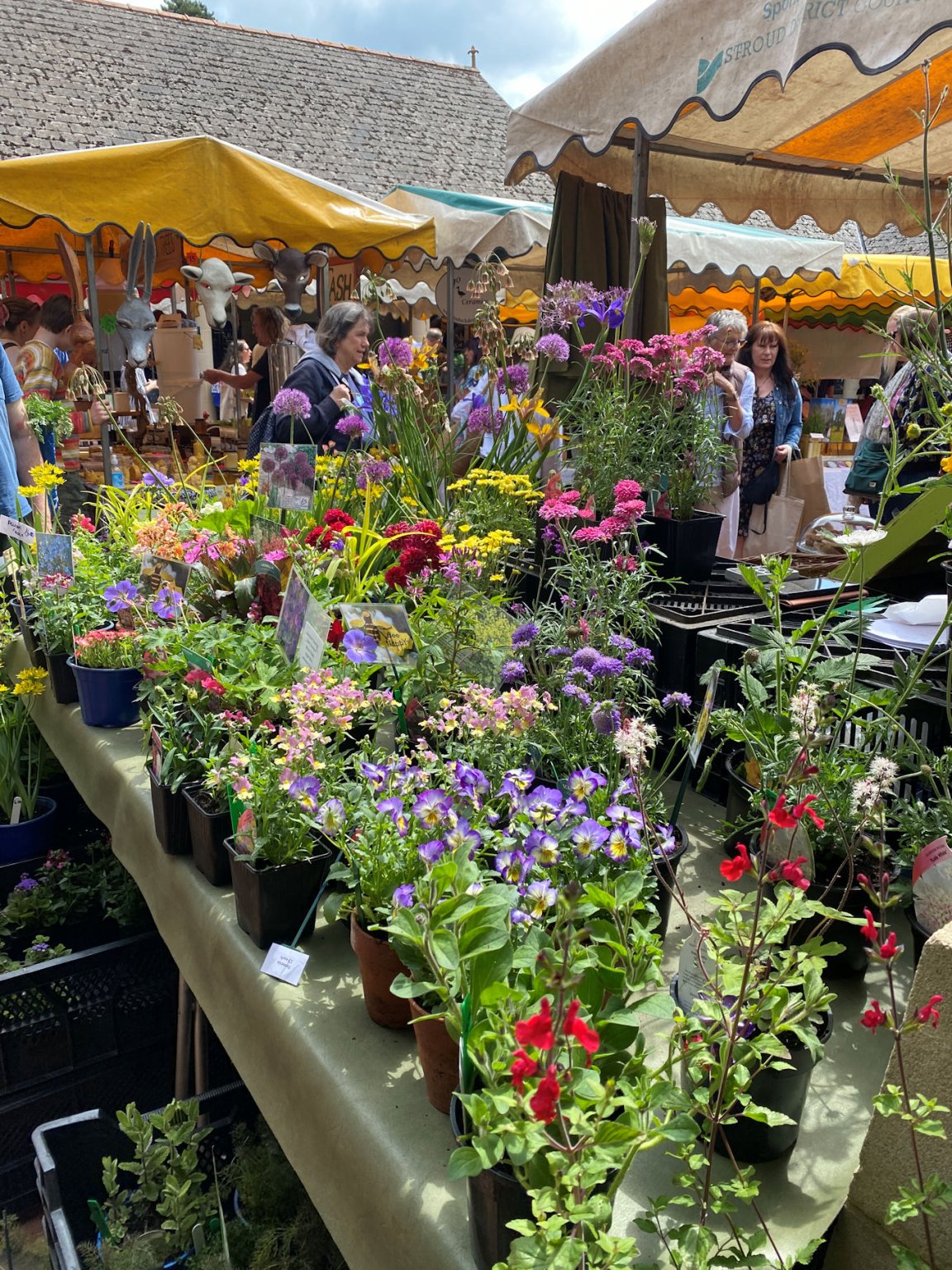 Stroud Farmers Market ∙ a fantastic market in the Cotswolds – Cotswolds ...